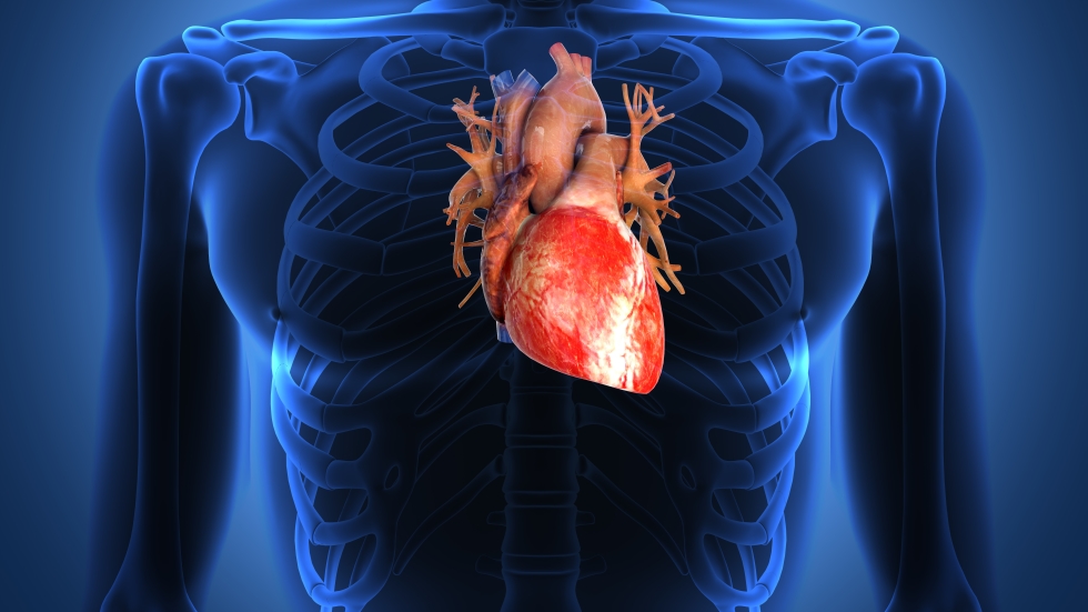 Medic: ”Sunt temperaturi de infarct. Trei tipuri de simptome adesea ...