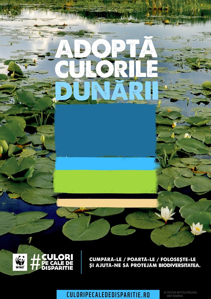 (P) Turist în România: Atracții mai puțin cunoscute de-a lungul Dunării ...