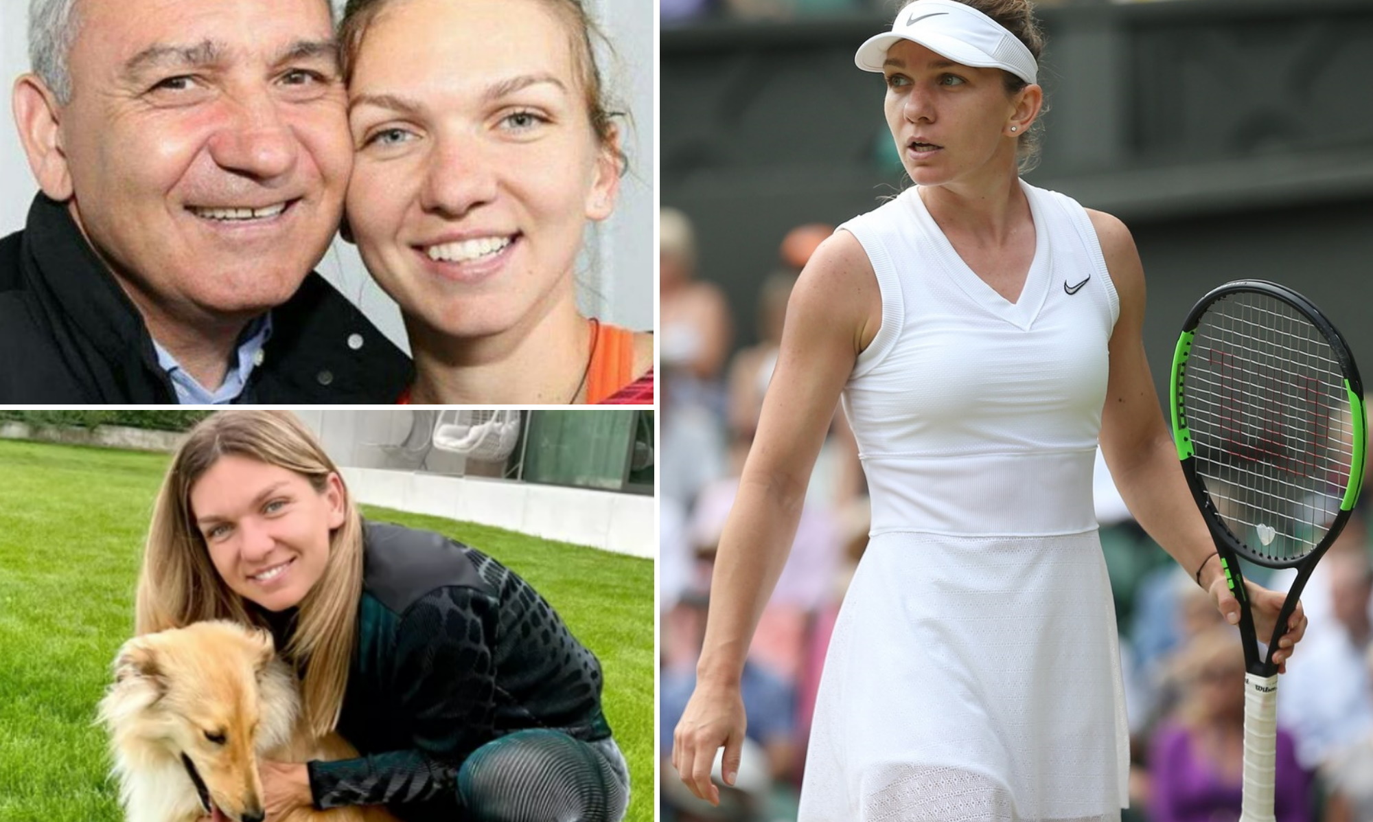 Cum arată vila din Snagov pe care Simona Halep o vinde pentru 4,4 ...