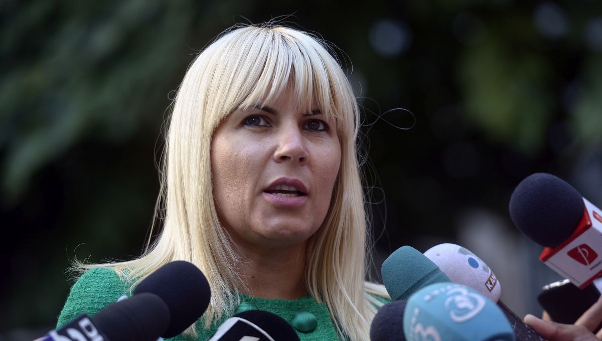 Elena Udrea, aviz favorabil de la penitenciarul Târgșor pentru eliberare condiționată. Fostul ...